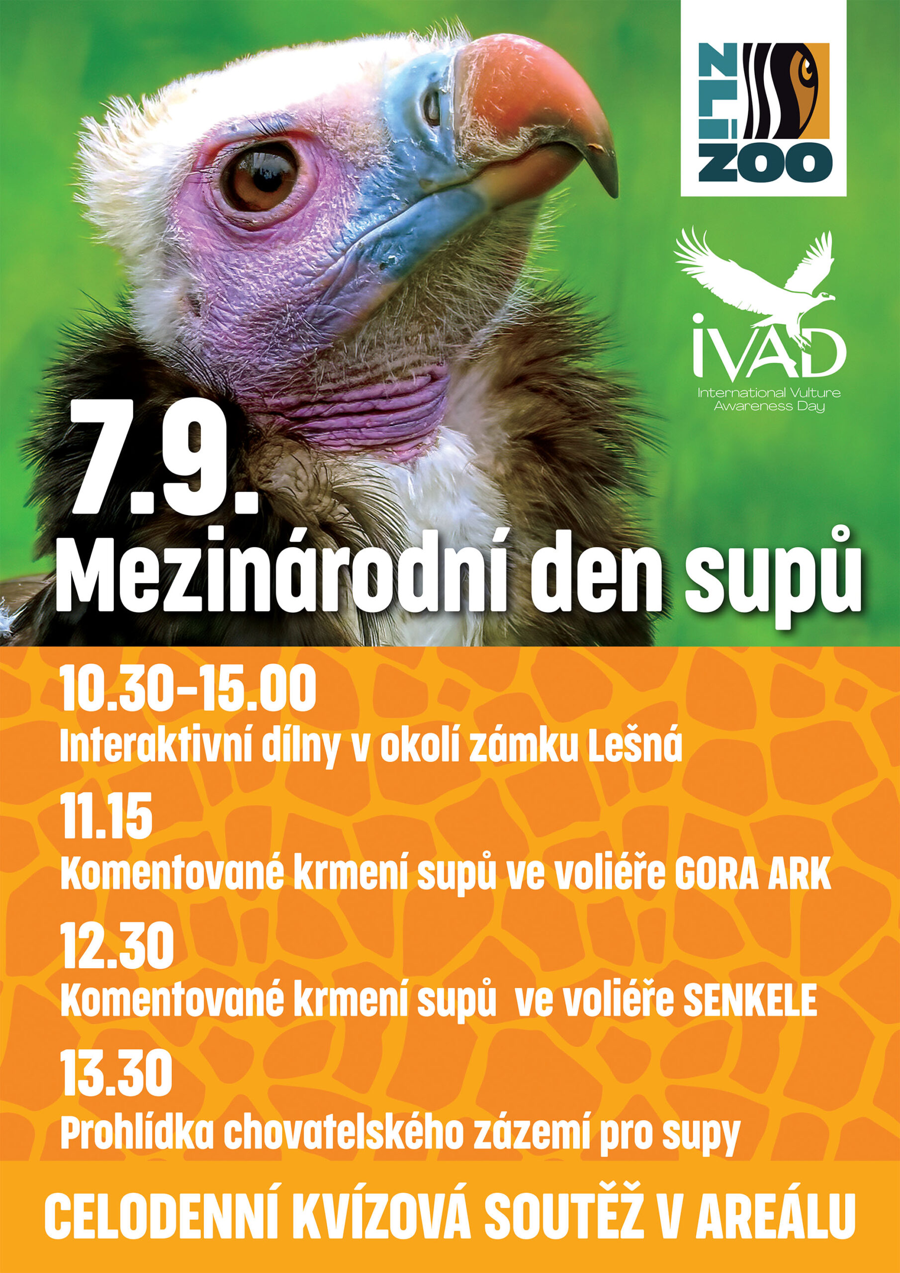 International Vulture Awareness Day – 2024 - Vulture Day